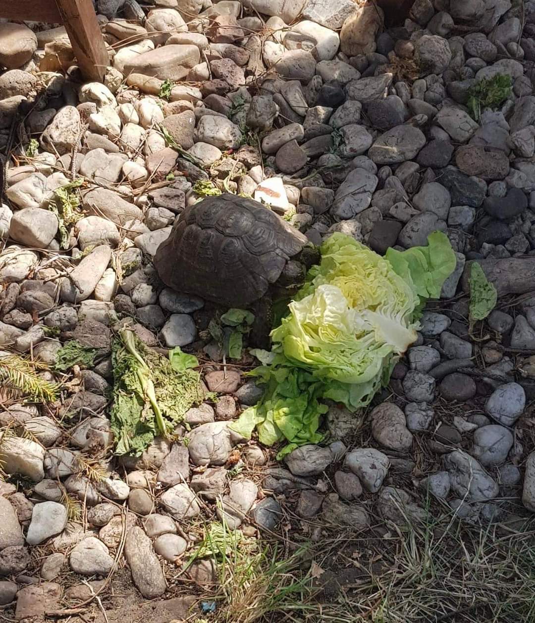 Informacje – OSTROW24.tv – Ostrów Wielkopolski